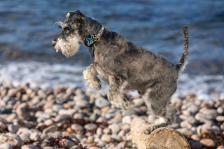 Zinj Design - Stockholm Fashion District